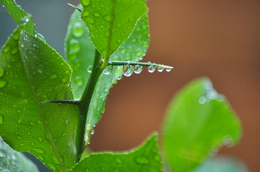 Scope 2 Guidance | GHG Protocol